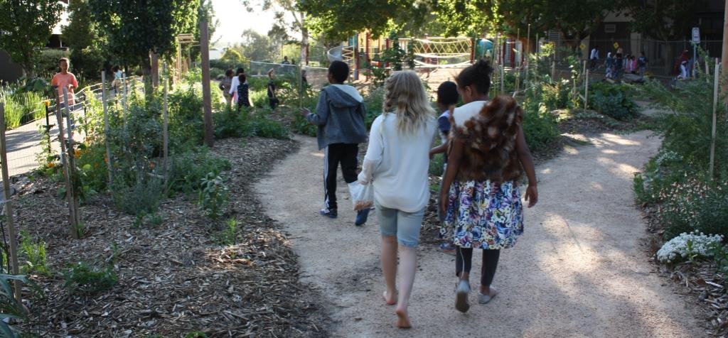 Community gardens are pretty special | Unison